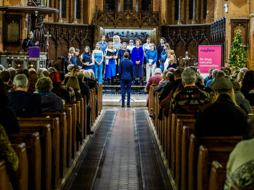 Mayhew Christmas Concert Tickets - – Mayhew Shop