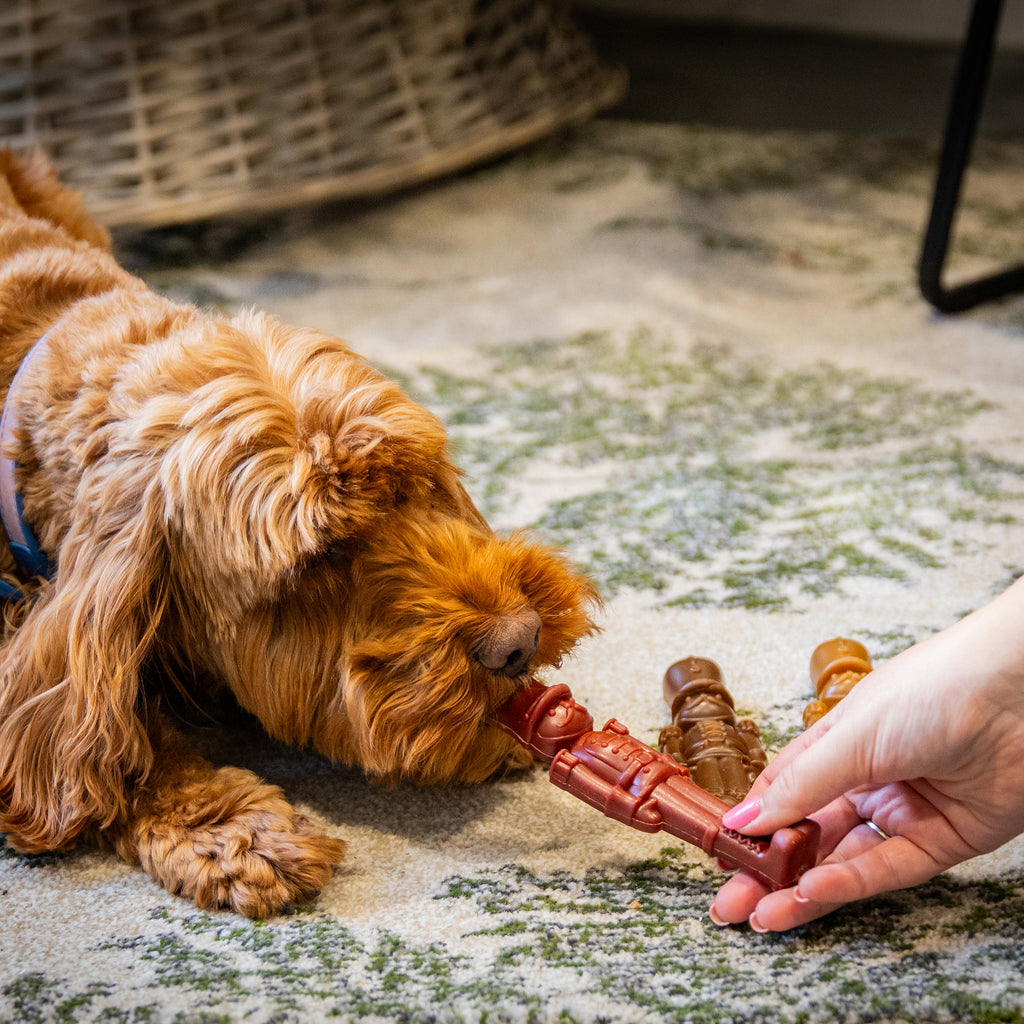 Nutcracker Trio dog treats – Mayhew Shop